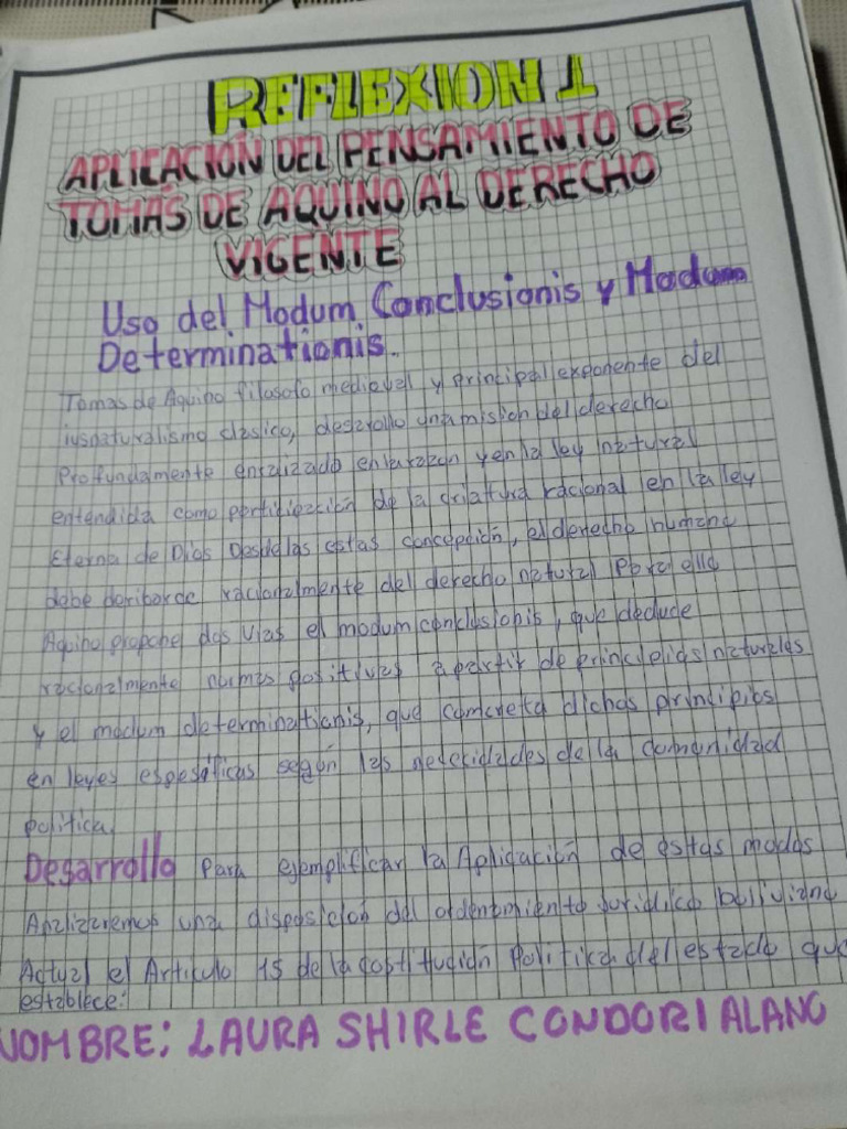 Laura Condori Compressed | PDF