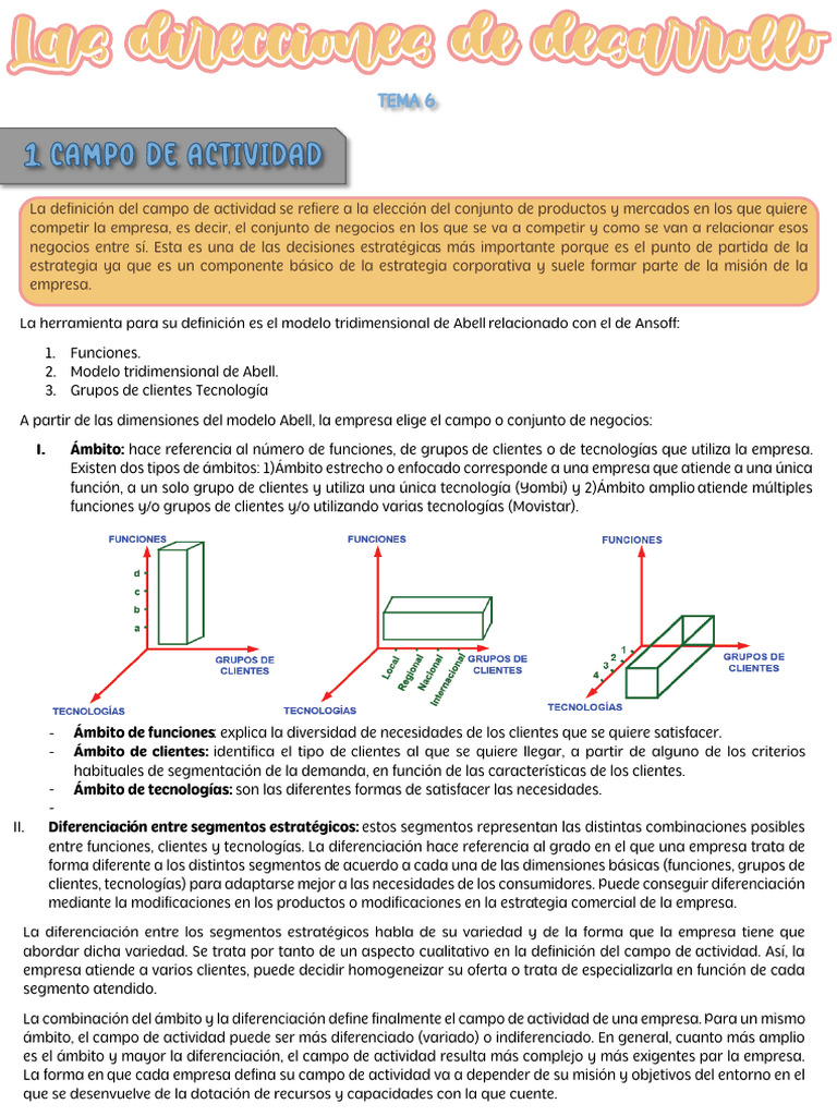 Tema 6 Sin Publi Dir Estrategica Uma | PDF