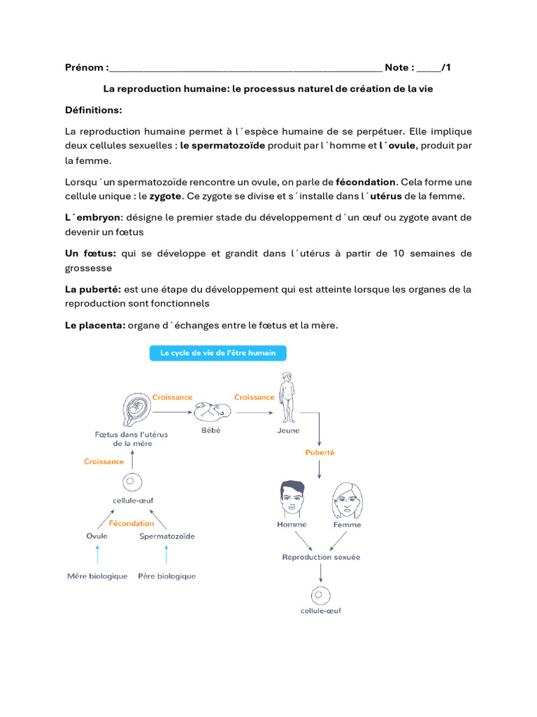 Processus de la reproduction humaine | PDF