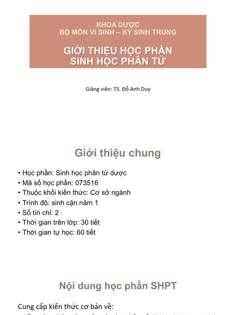 Nhap Mon Sao Chep | PDF
