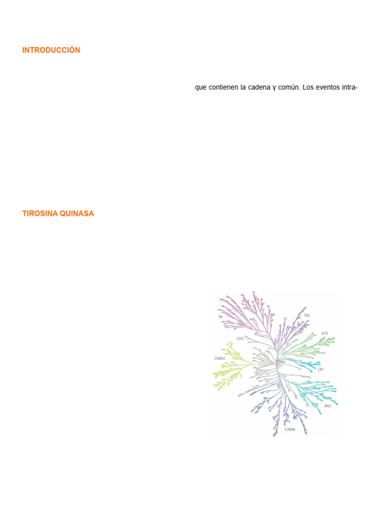 Inhibidores kinasa - Hochberg en español | PDF | Quinasa | Receptor ...