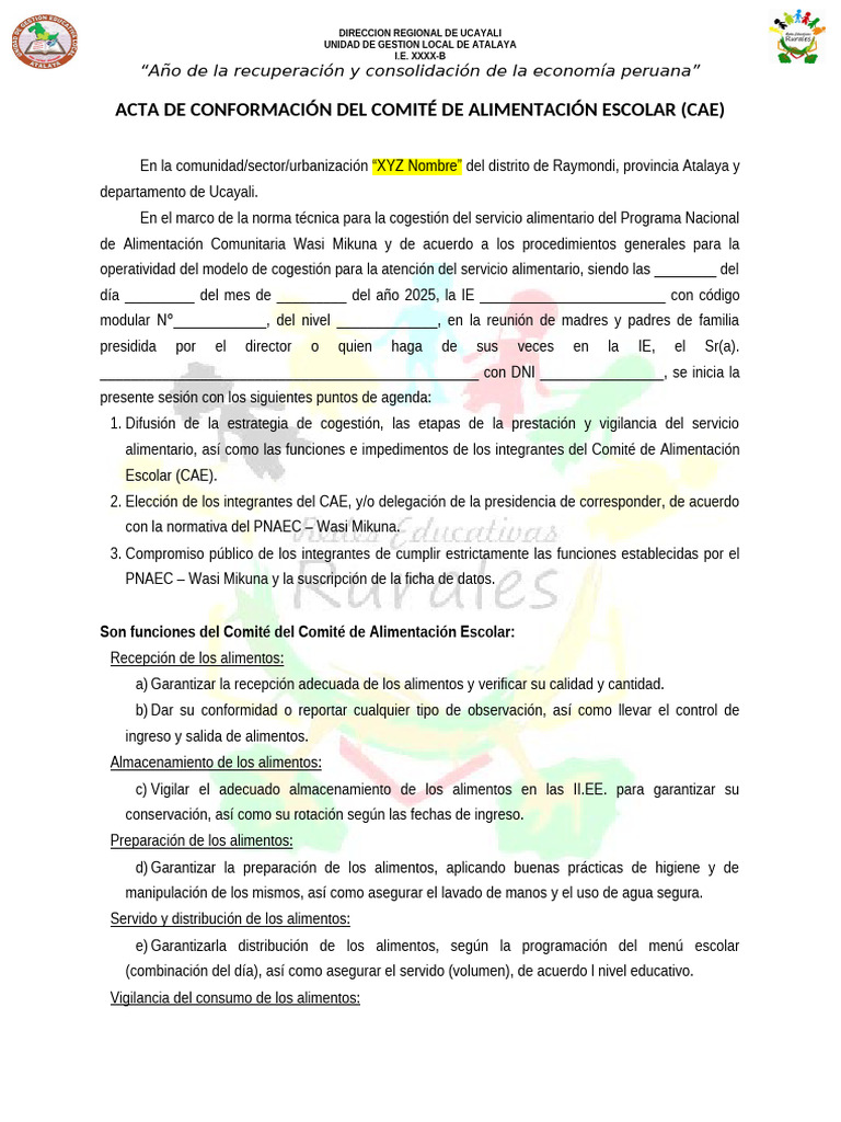 Acta de Conformación - CAE 2025 | PDF