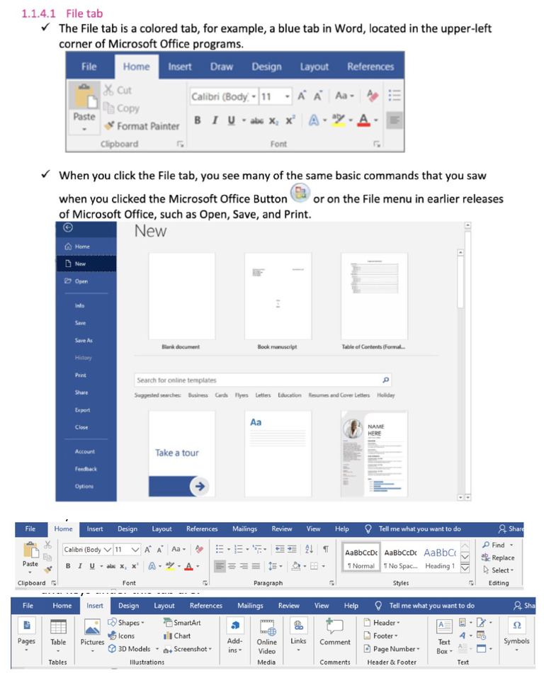 MsOffice Tabs | PDF