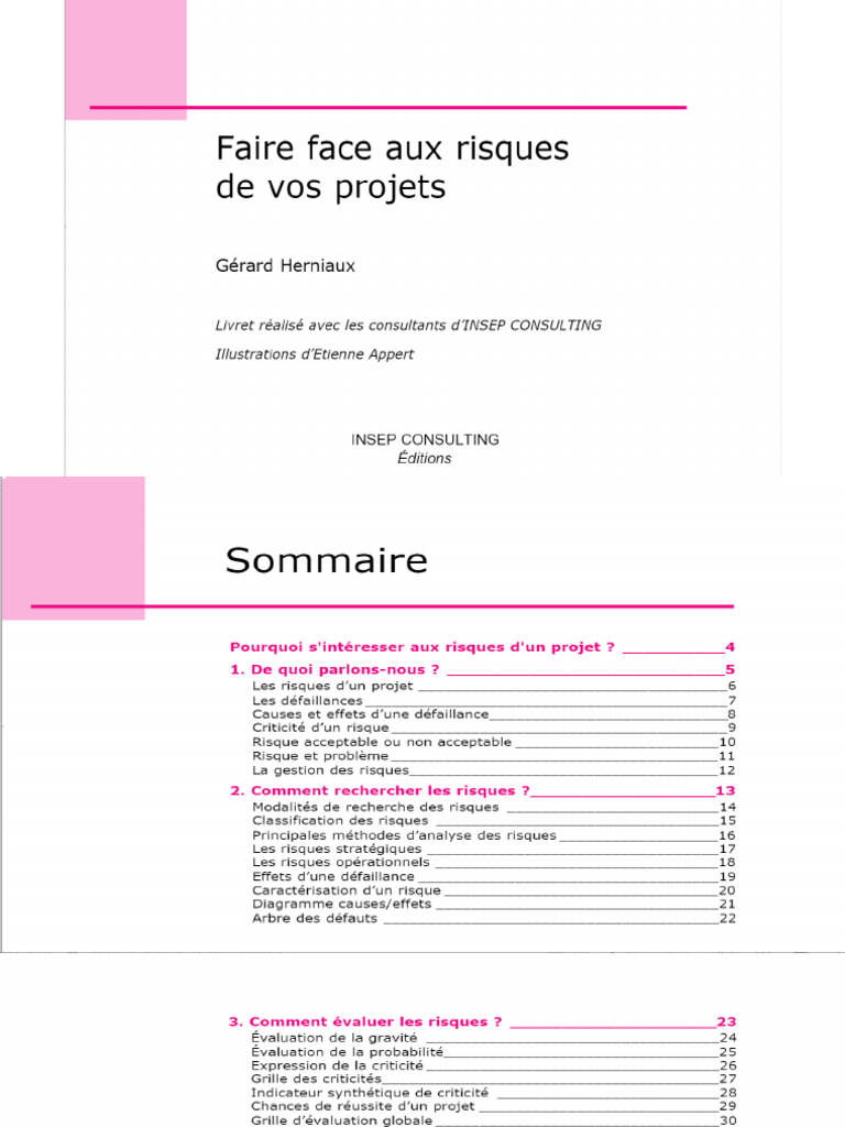 Cours 4 Prof Gestion Risque Projet | PDF