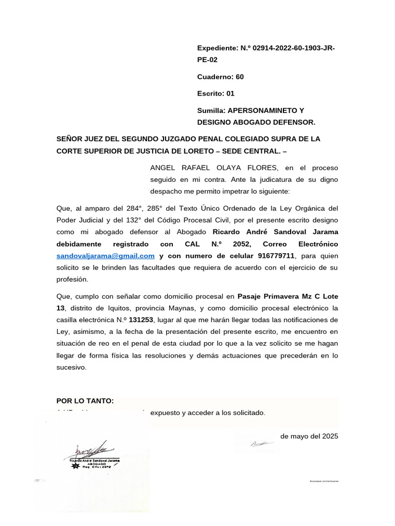 2914-2022-60-JR-PE-Designo Abogado Defensor | PDF