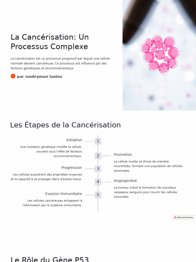 La Cancerisation Un Processus Complexe | PDF | Cancer | P53