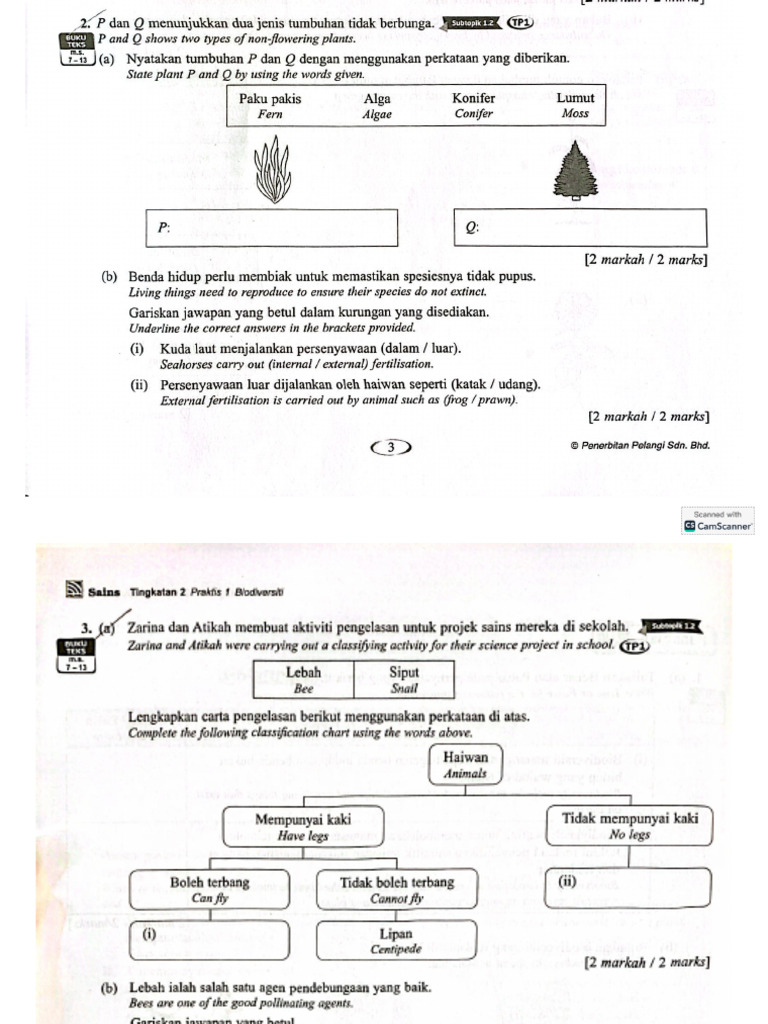 Latih Tubi Uasa Ting. 2 | PDF
