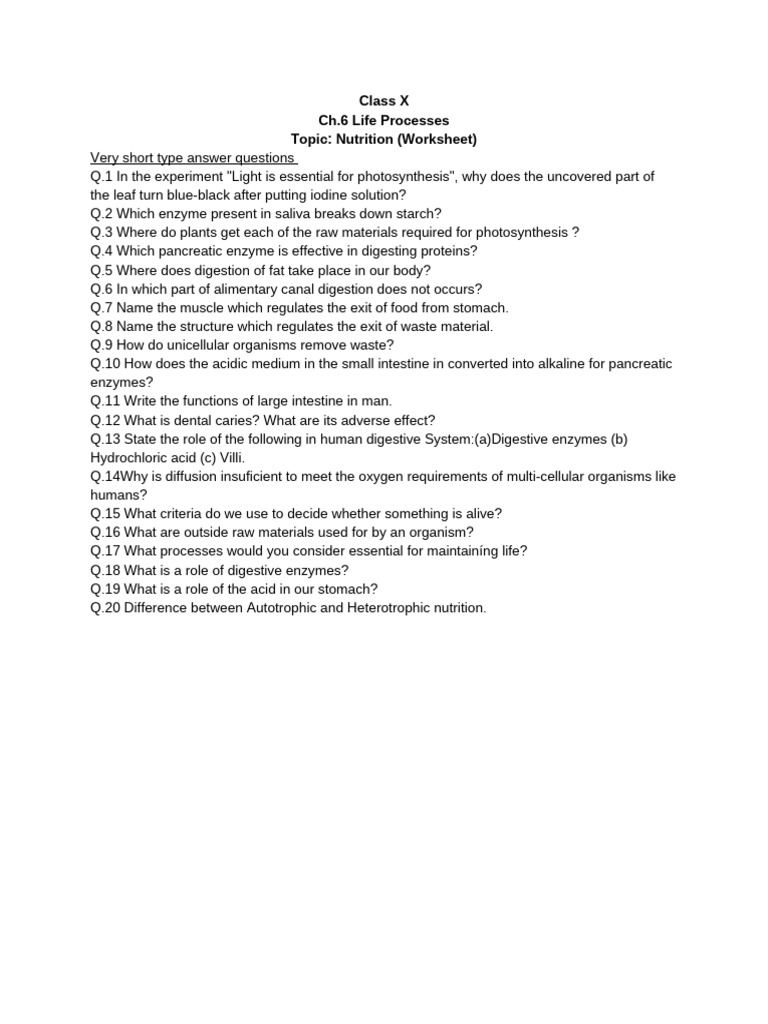 Nutrition Worksheet | PDF