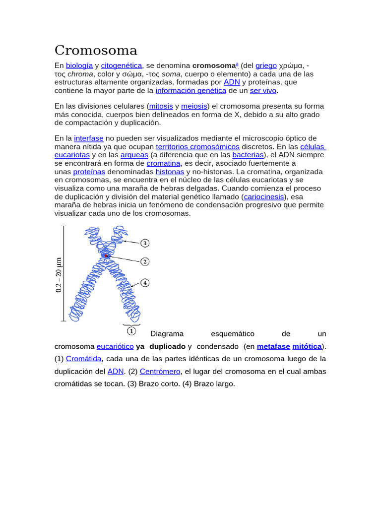 Cromosoma | PDF