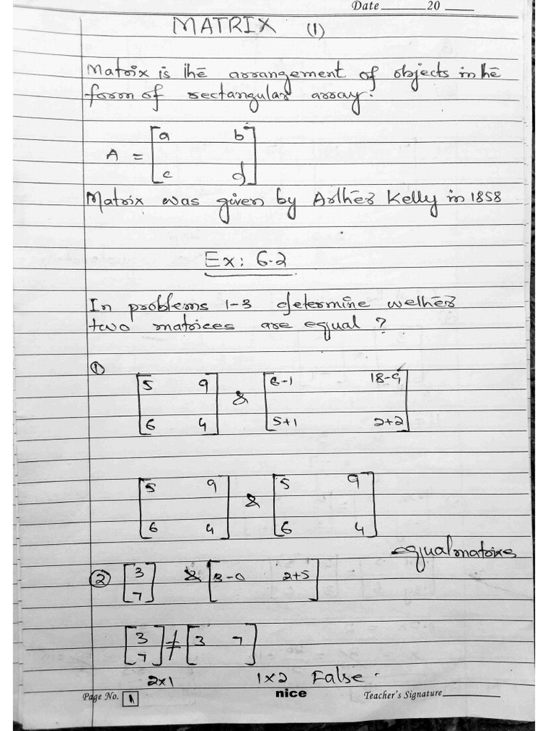 Matrix Complete Chapter With Each Solved Problem. | PDF