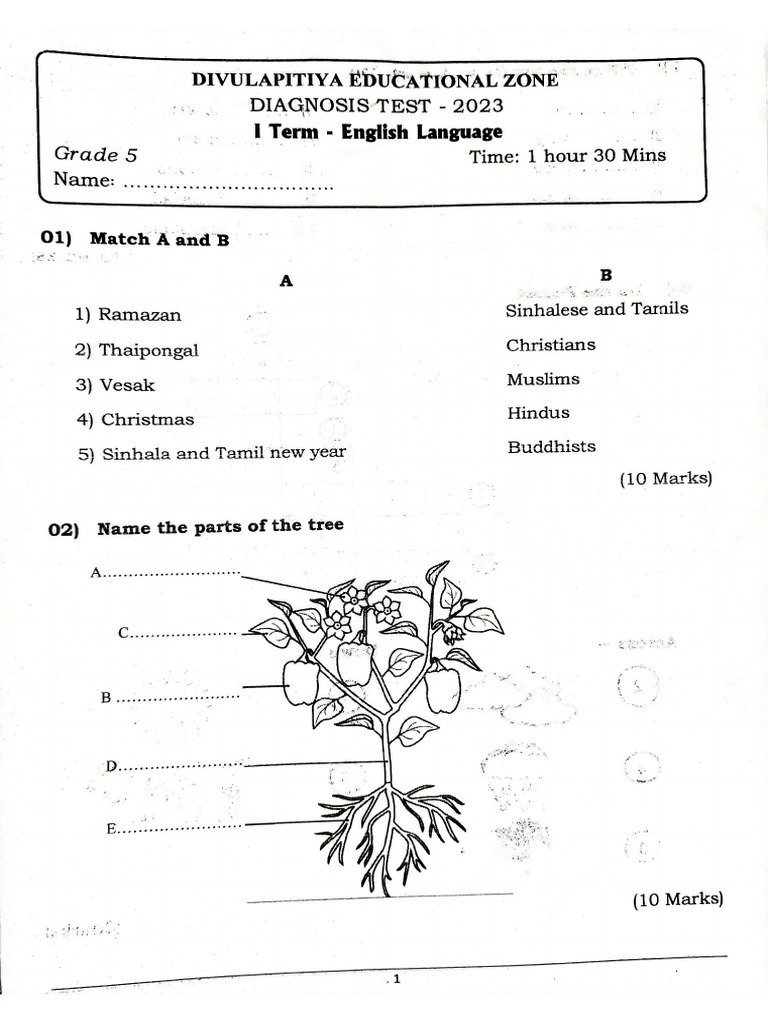 English - Grade 5 First Term Test 2023 | PDF
