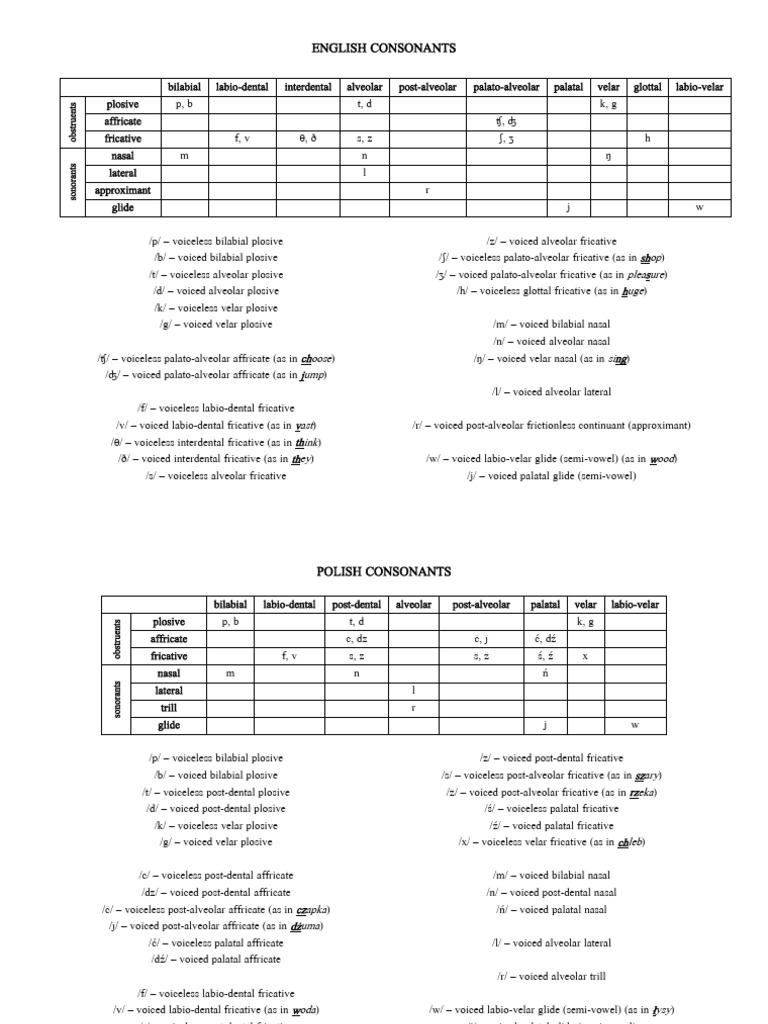 Classification of Consonants (Polish vs. English) | PDF | Phonetics | Human Voice
