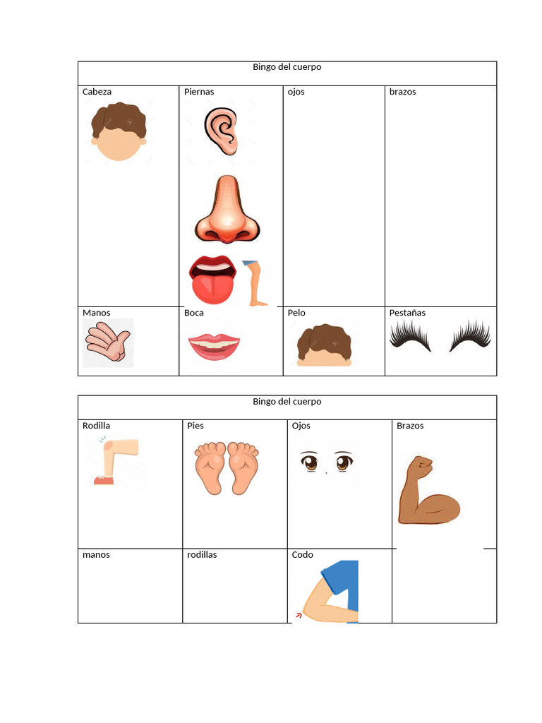 Bingo Del Cuerpo | PDF