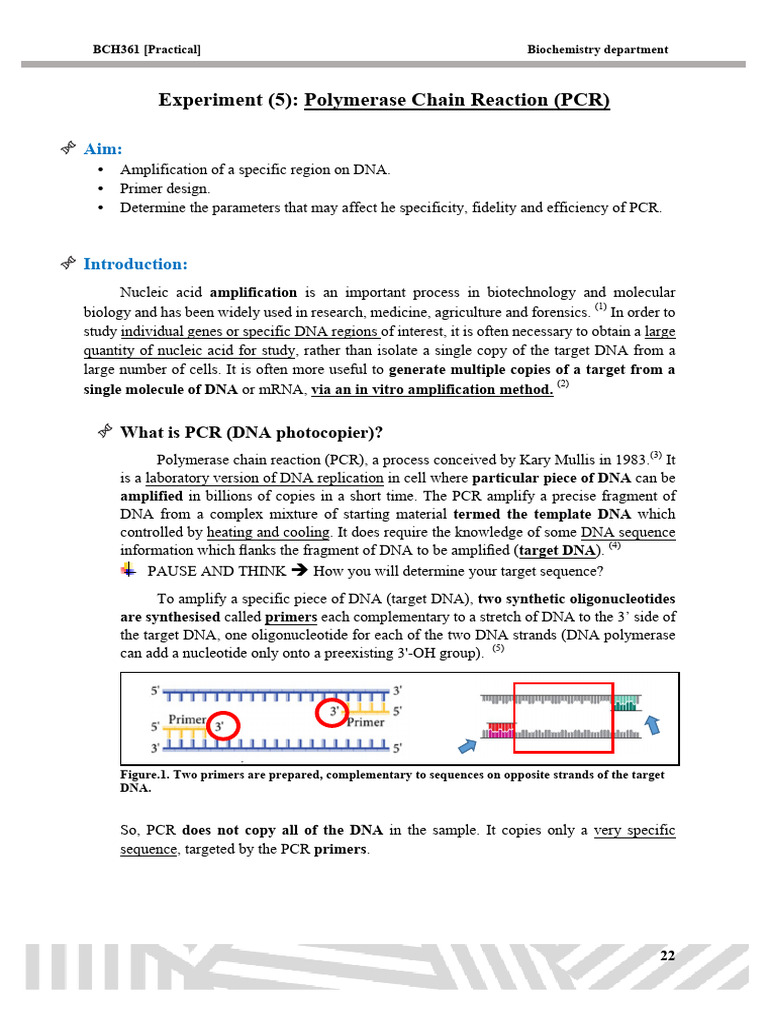 polymerase_chain_reaction_pcr | PDF | Polymerase Chain Reaction | Primer (Molecular Biology)