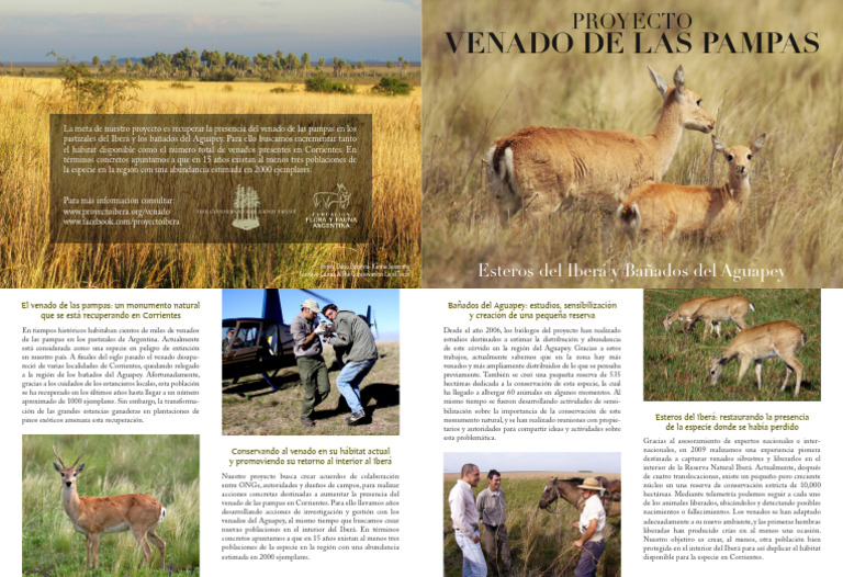 Folleto Venado de Las Pampas | PDF