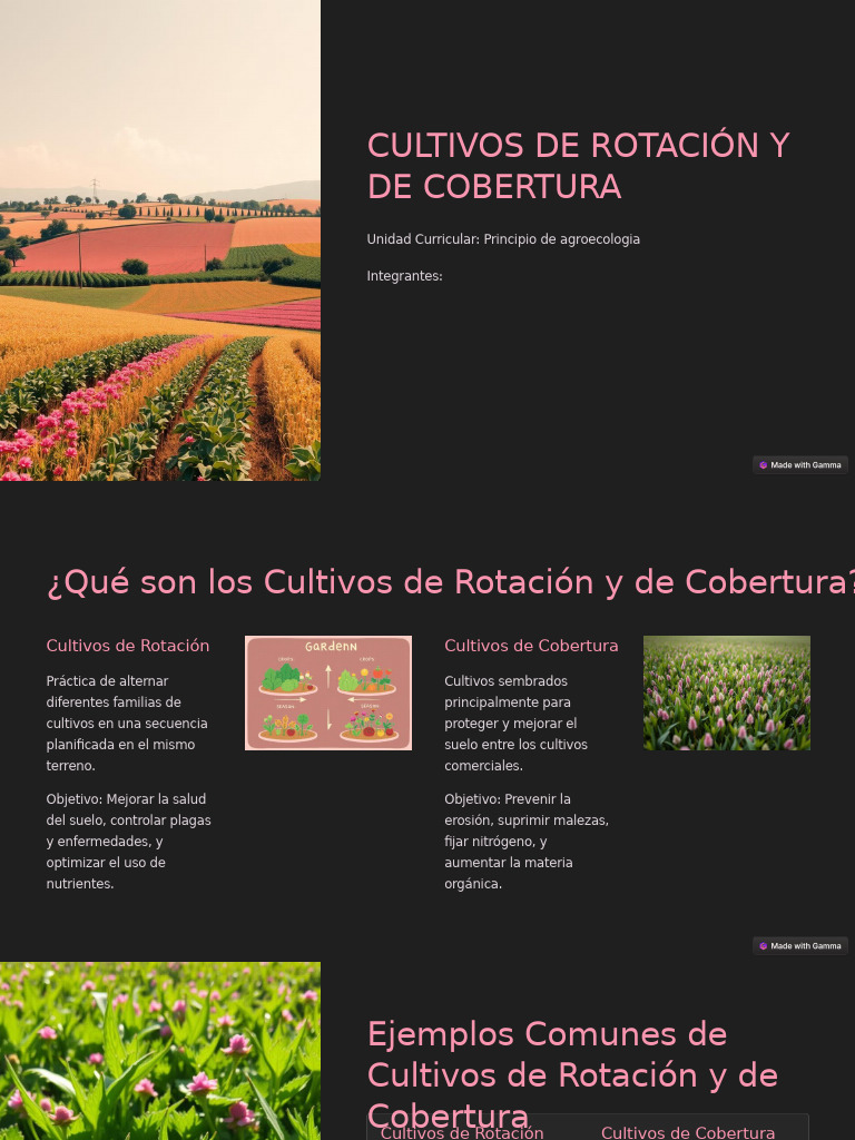 Cultivos de Rotación y Cobertura: Guía Agrícola | PDF | Agricultura ...
