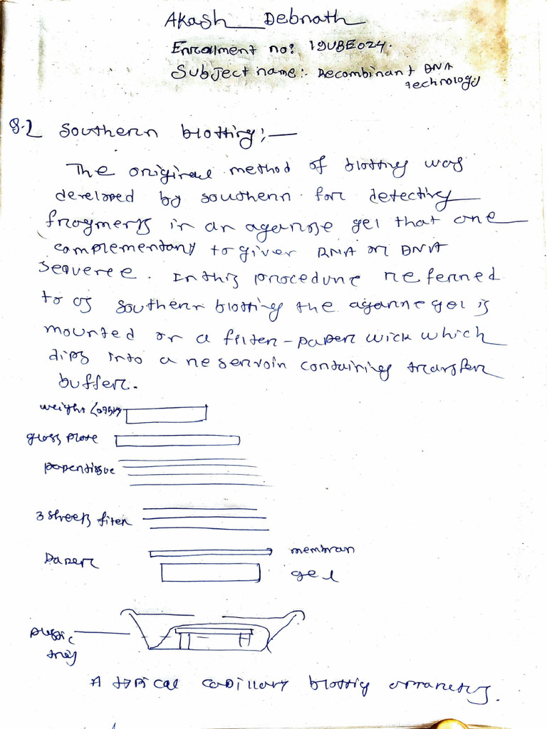 Calss Test | PDF