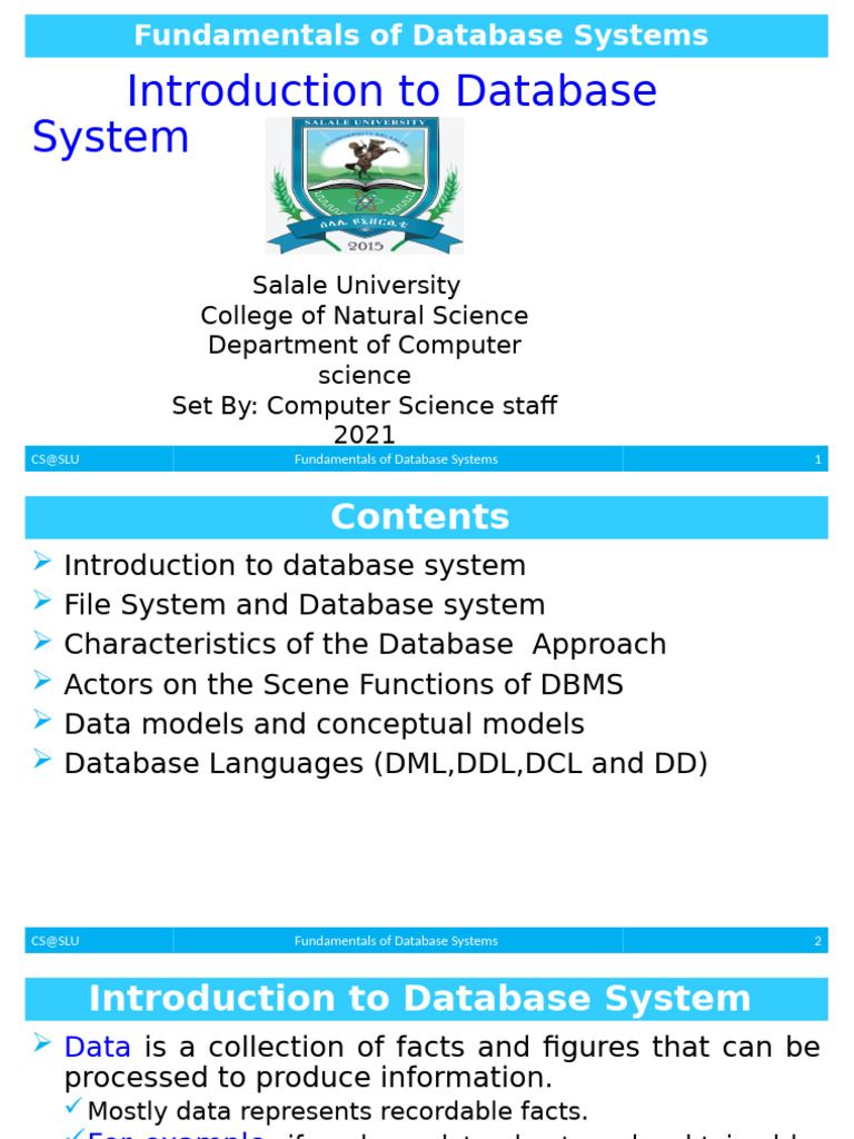 1 Introduction To Database Systems | PDF | Databases | Data Model