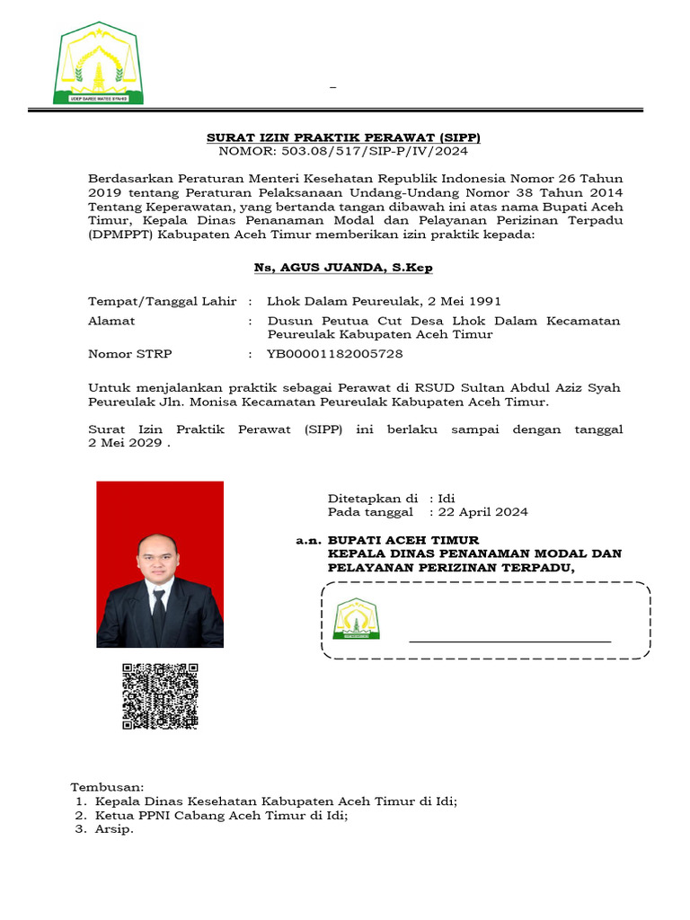 Dinas Penanaman Modal Dan Pelayanan Perizinan Terpadu: Surat Izin Praktik Perawat (Sipp) | PDF