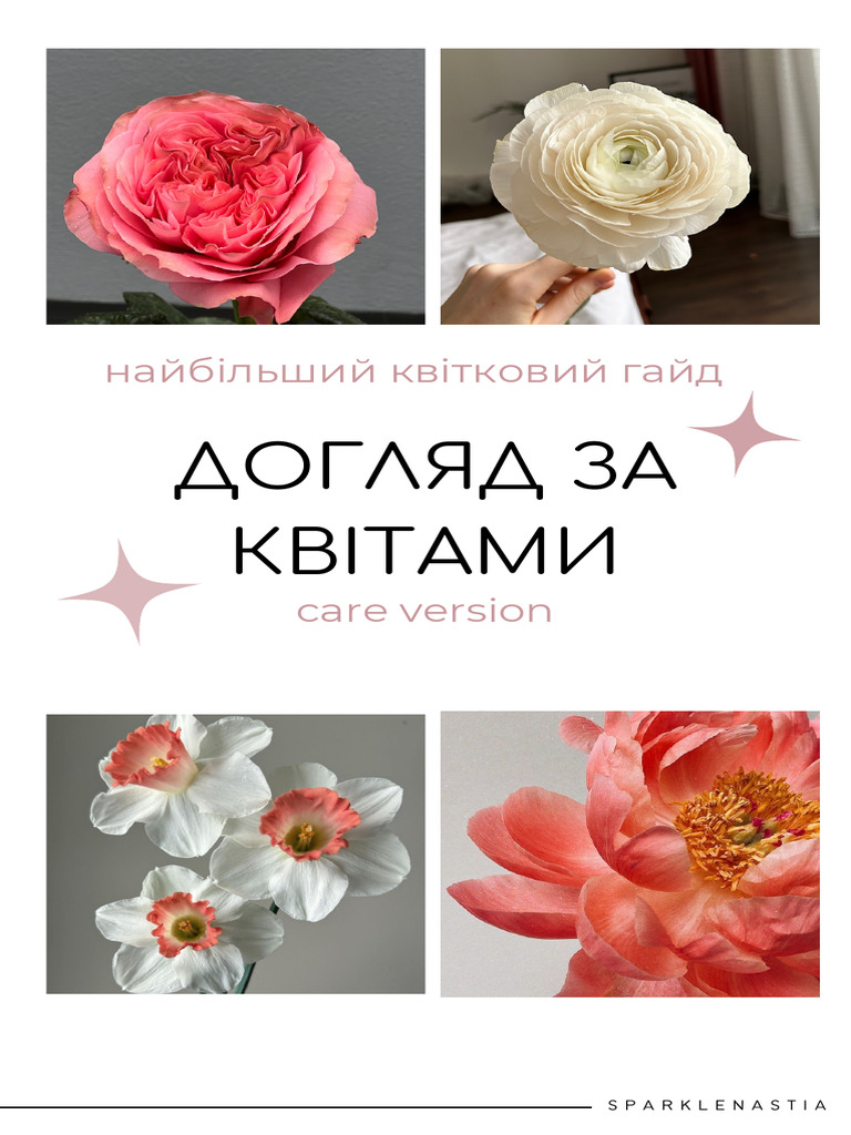 Sparkle Nastia | PDF