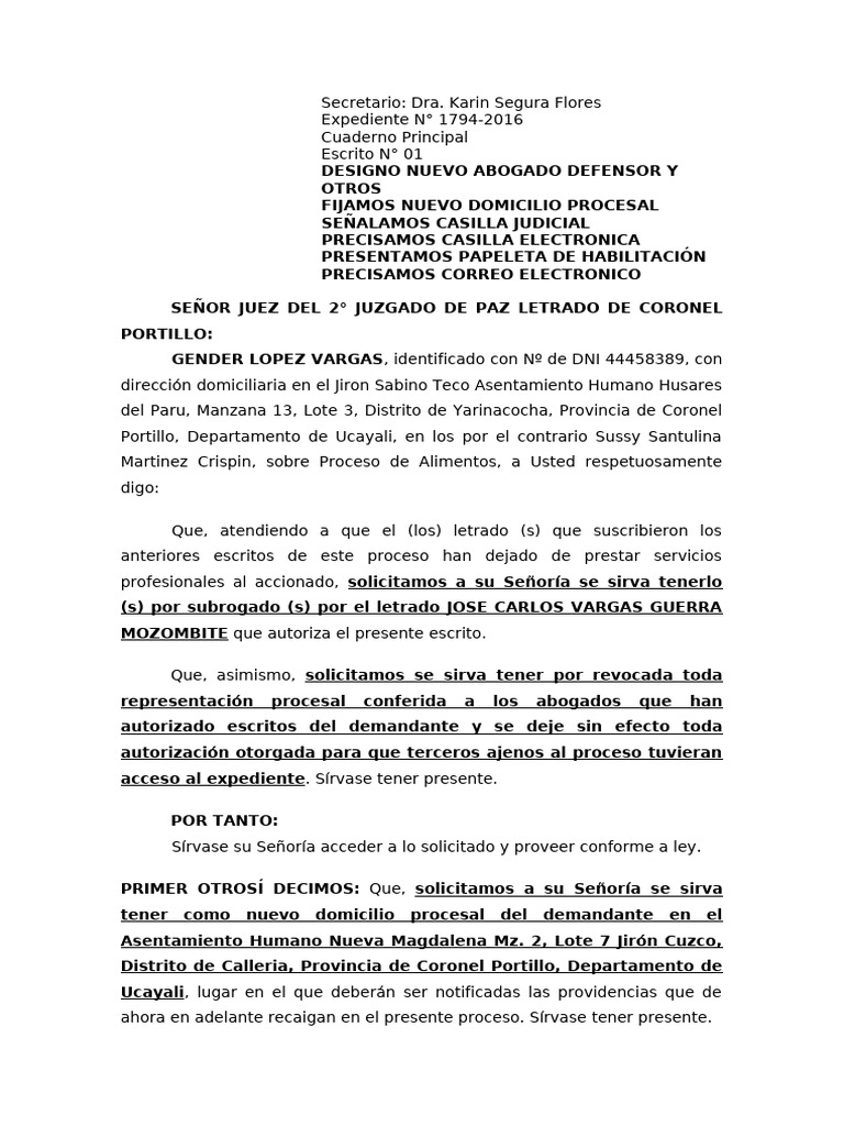 designo nuevo abogado defensor gender | PDF | Judicaturas | Gobierno