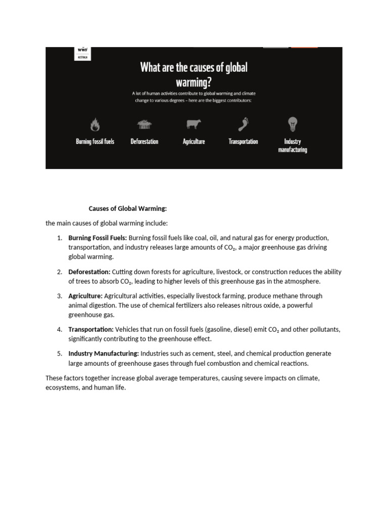 Causes of Global Warming | PDF