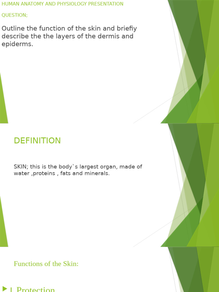 Human Anatomy and Physiology Presentation | PDF