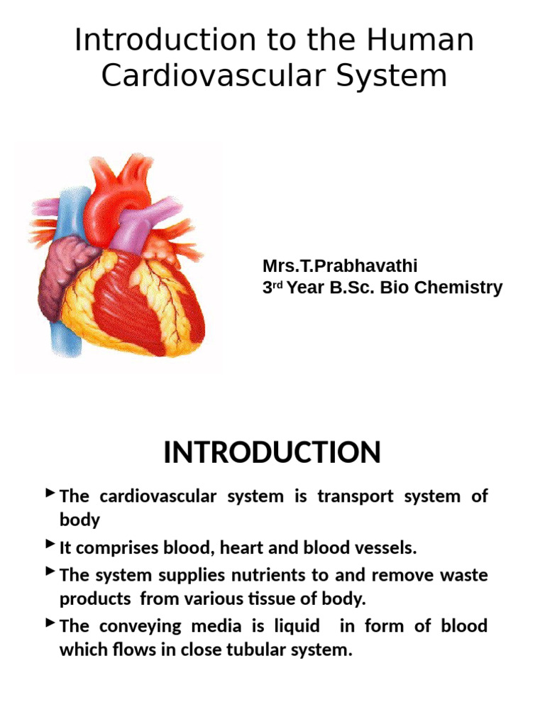 Overview of the Cardiovascular System | PDF