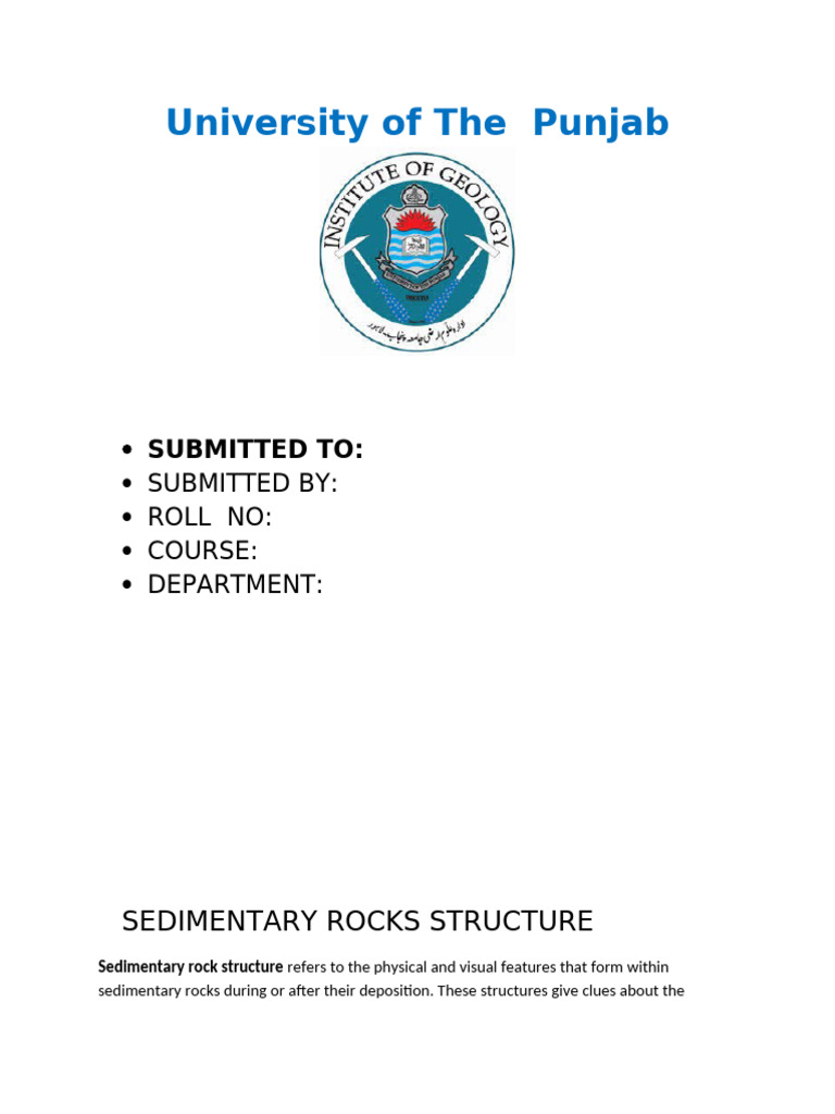 Drill and Drilling Assignment | PDF | Sedimentary Rock | Clastic Rock