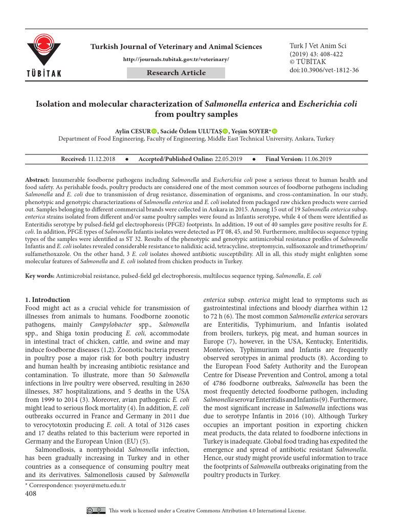 Isolation and Molecular Characterization of Salmonella Enterica and ...