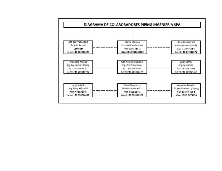 Diagrama Profesionales PyM | PDF