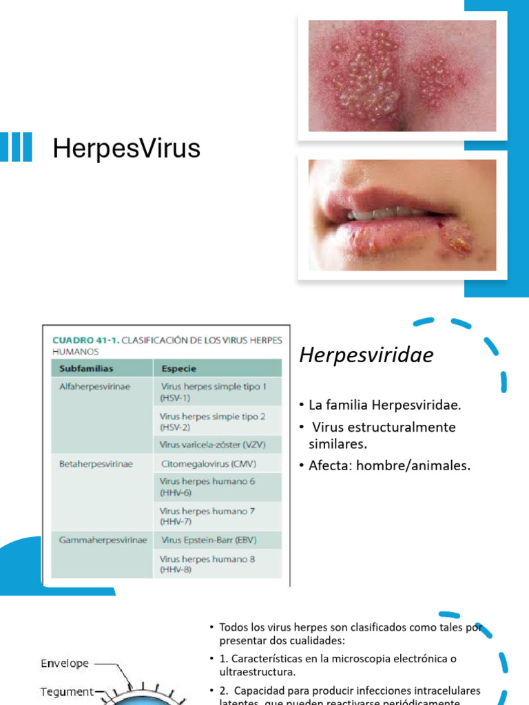 Herpes | PDF | Virus | Enfermedades y trastornos humanos