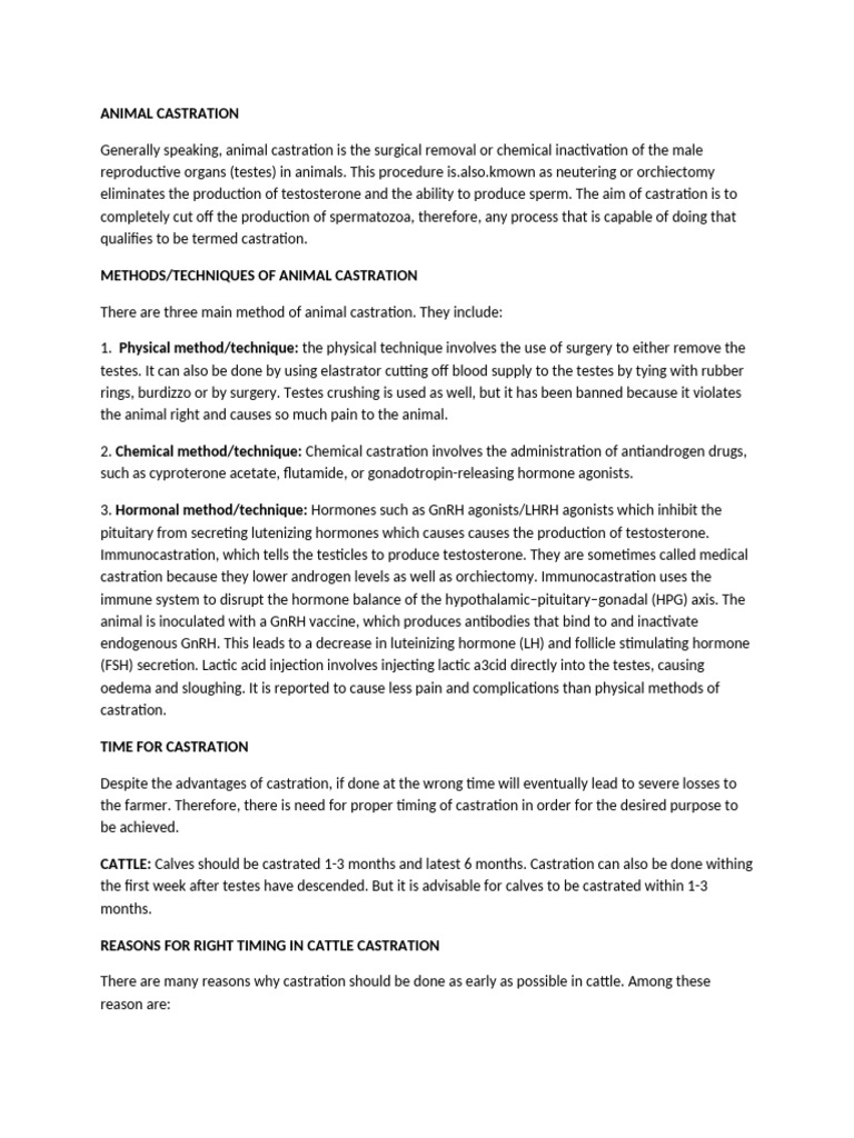 Animal Castration Techniques and Timing | PDF | Sheep