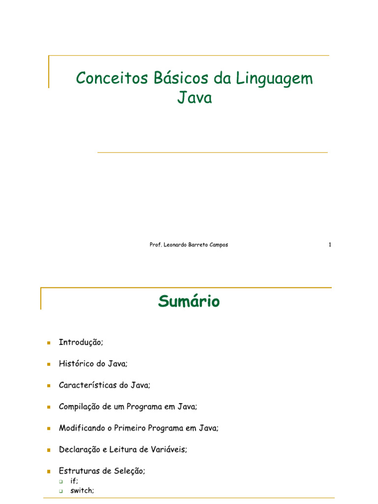conceitos basicos java | PDF