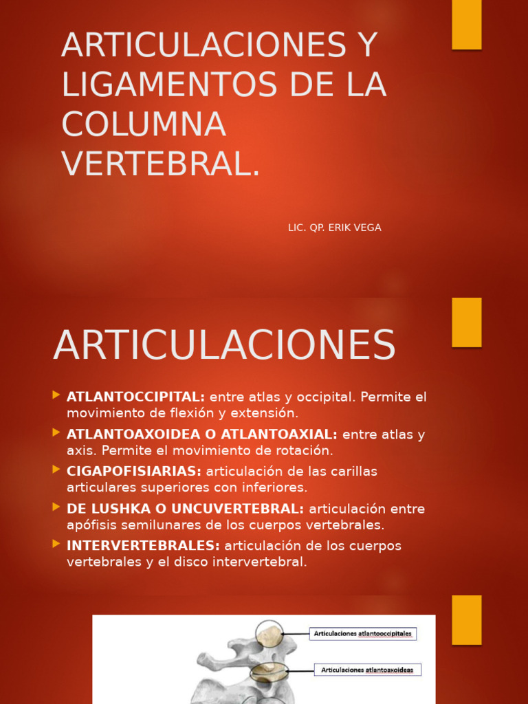 Articulaciones y Ligamentos de La Columna Vertebral | PDF