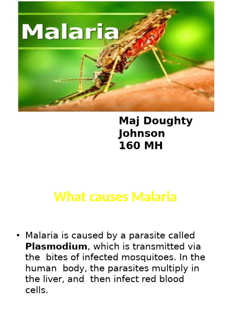 Malaria 220516141406 E7d32c9f | PDF | Malaria | Diseases And Disorders