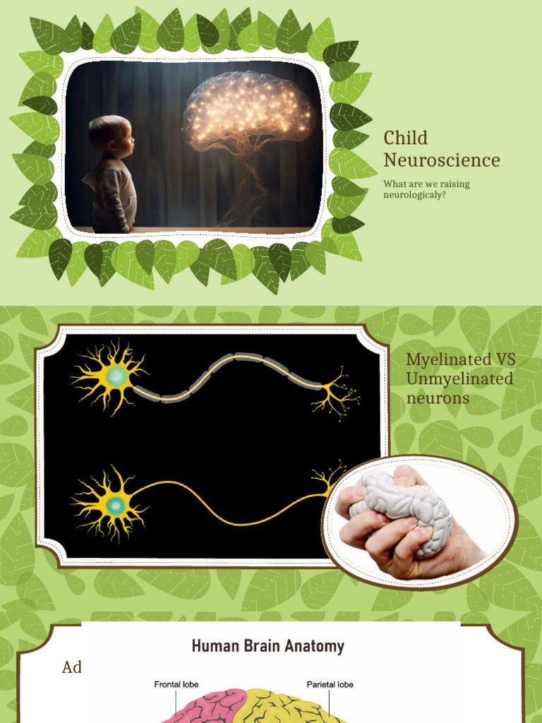 Child Neuroscience and Psychology | PDF | Attachment Theory | Human ...