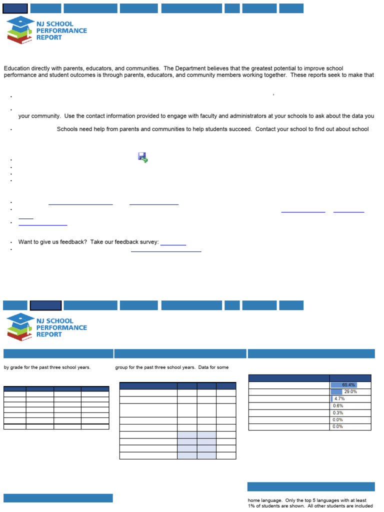 School Performance Report | PDF | Race And Ethnicity In The United ...