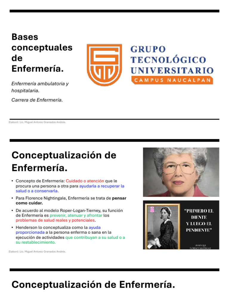 Bases conceptuales de Enfermería | PDF | Enfermería | Holismo