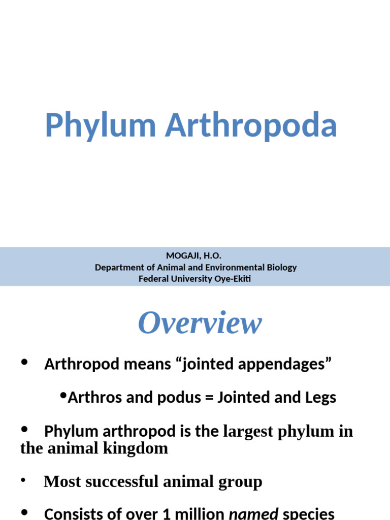 BIO 102 Phylum Arthropoda 1 by OGBENII ADIO. | PDF | Crustacean ...