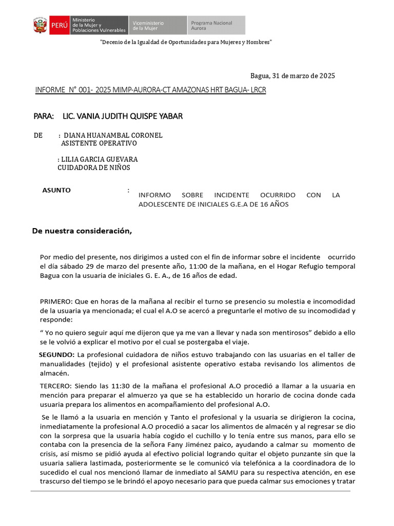 Informe Vania | PDF