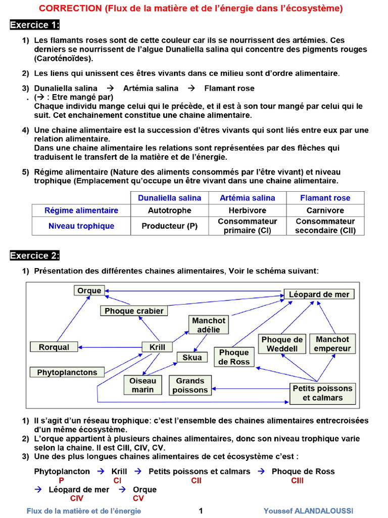 Exercices Unit1 4 Correction | PDF
