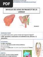 8.la Langue | PDF | Langue | Anatomie humaine