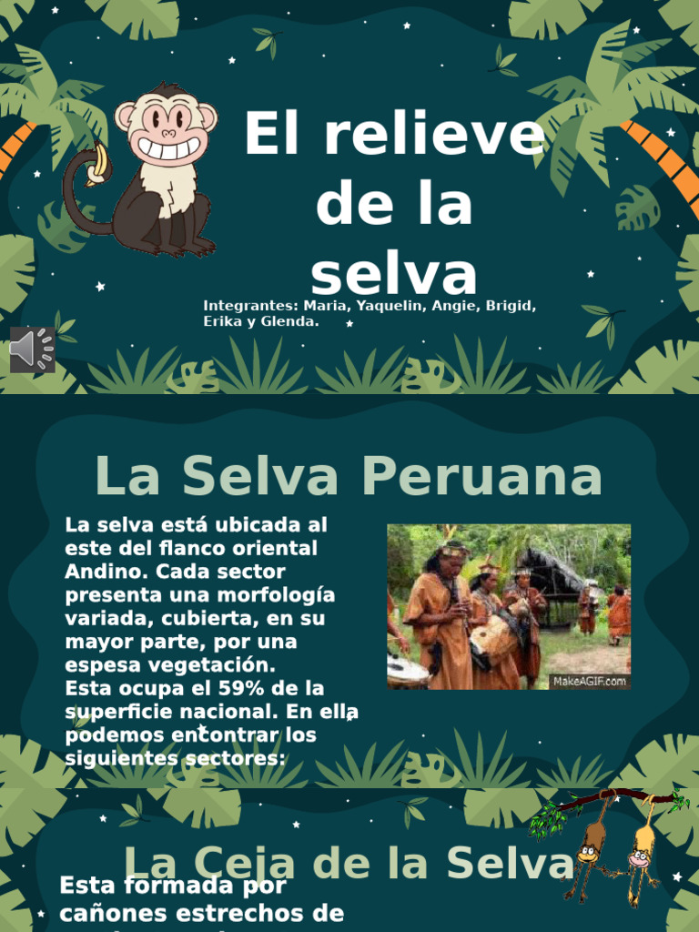 Relieve y ecosistemas de la selva peruana | PDF | Selva | Andes
