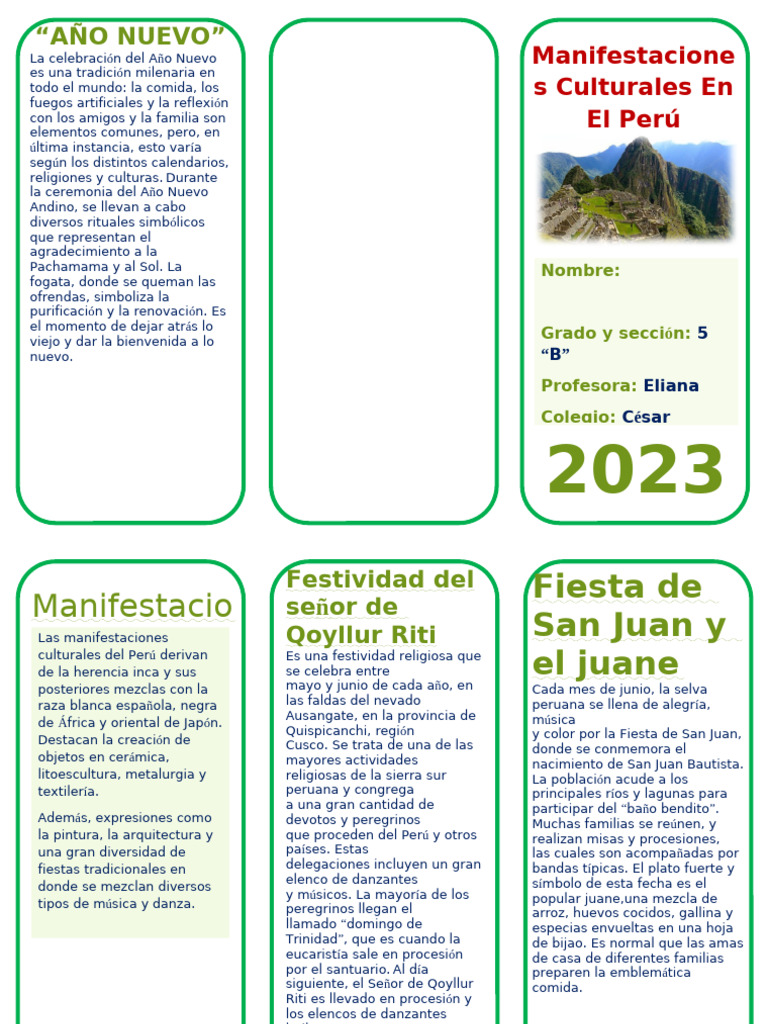 Tripco Peru | PDF | Perú | Bailes