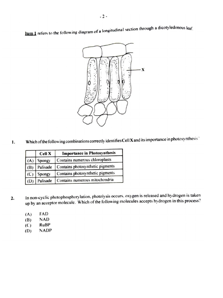 Form 6 MCQ | PDF