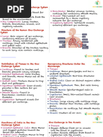 Gaseous Exchange Grade11 Notes | PDF