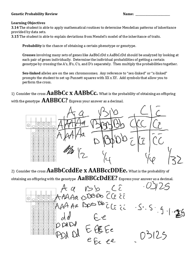 Genetic Probability Review Student Copy2 | PDF