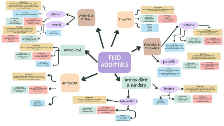 Purple Colorful Organic Mind Map Brainstorm | PDF | Digestion | Nutrients