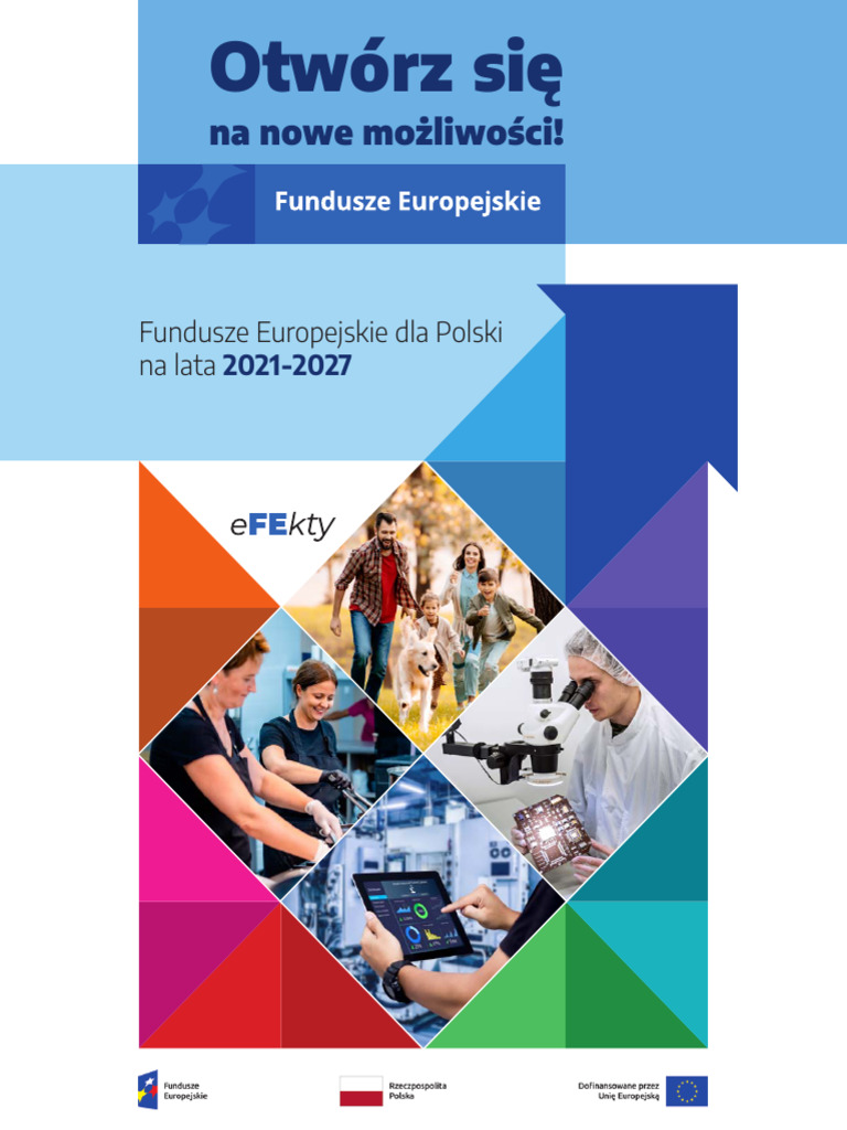 Dodatek eFEkty WWW | PDF